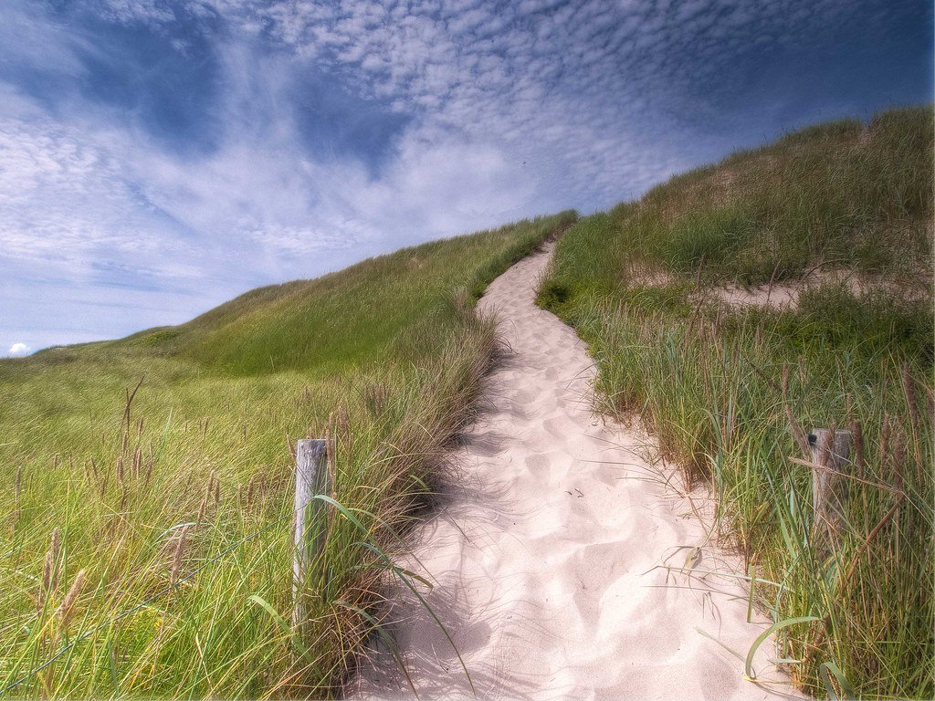 The 11 Best Things to do in Skagen, Denmark | Scratch your mapa