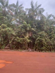 How to Get to the French Guiana Brazil Border - Scratch your mapa