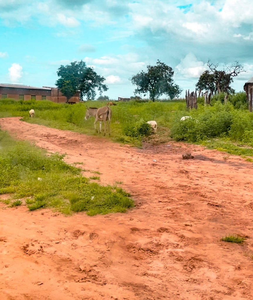 Everything To Know To Rent a Car in Senegal - Scratch your mapa