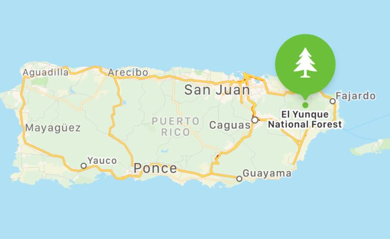 Visiting El Yunque, Puerto Rico: The Only US Rainforest - Scratch your mapa