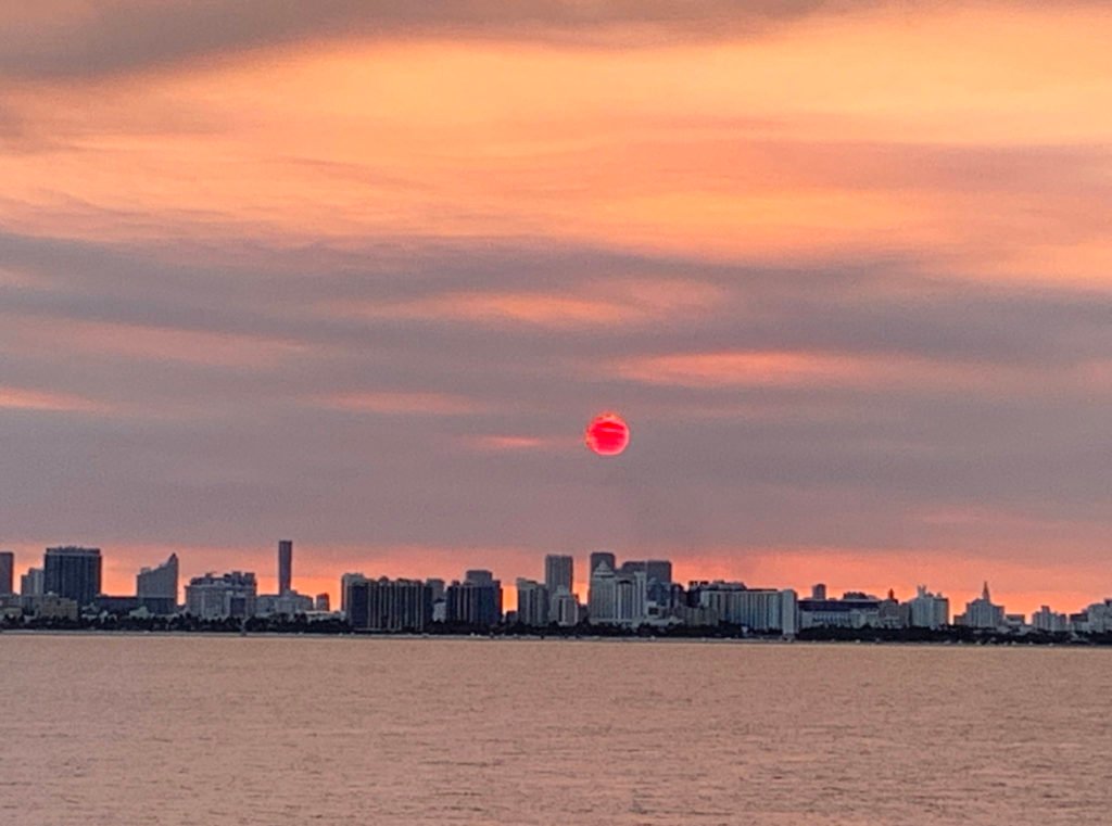 The Best Things to See in Miami For Every Type of Traveler