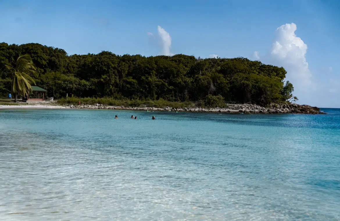 The Best Things to Do in Vieques, Puerto Rico - Scratch your mapa