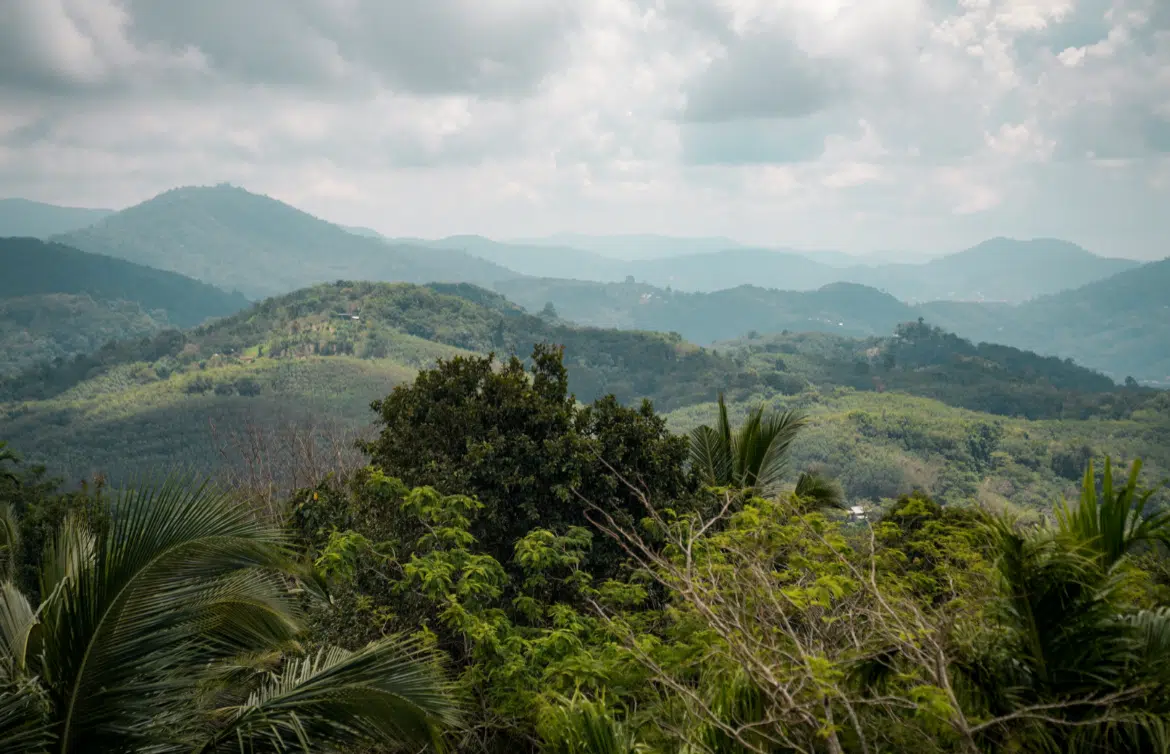 The Best Things to Do in Phuket, Thailand - Scratch your mapa
