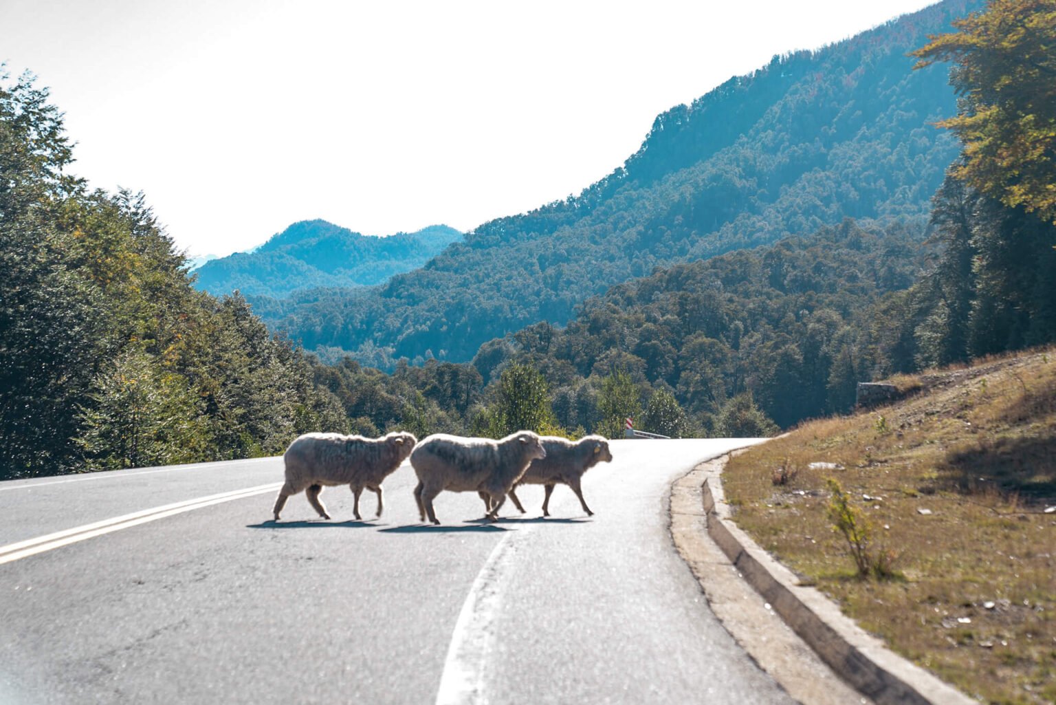 Route of the Seven Lakes: Patagonia’s Most Stunning Road - Scratch your ...