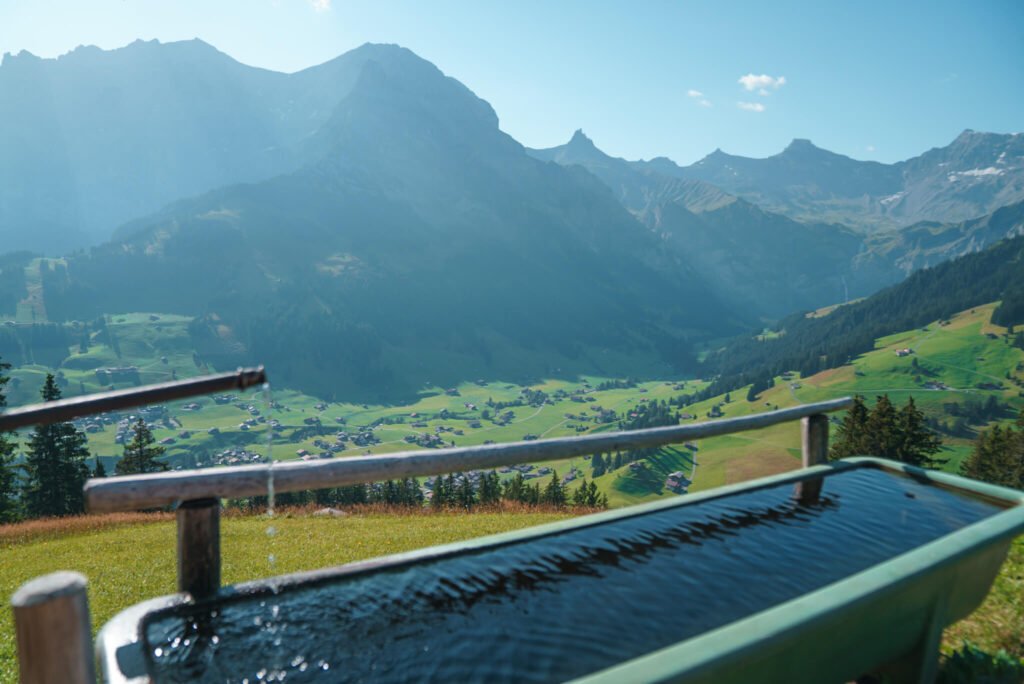 How to Experience the Giant Swing in Switzerland: One of the Most Beautiful Swings in the World ...