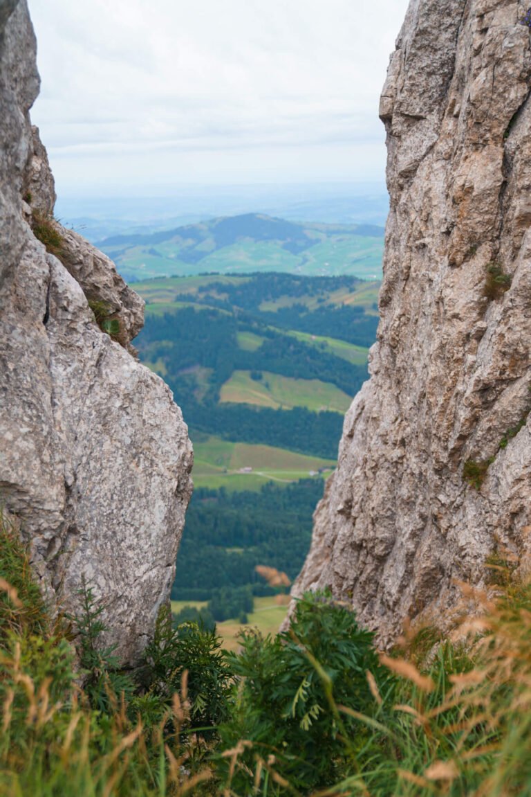 How Do I Get to Schafler Ridge? A Complete Guide For One of Switzerland ...