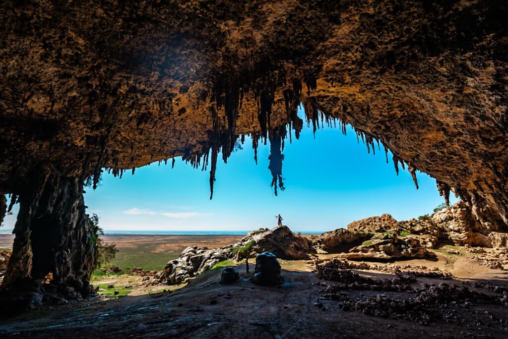 Visiting the Island of Socotra, Yemen: The Most Exotic Destination in ...