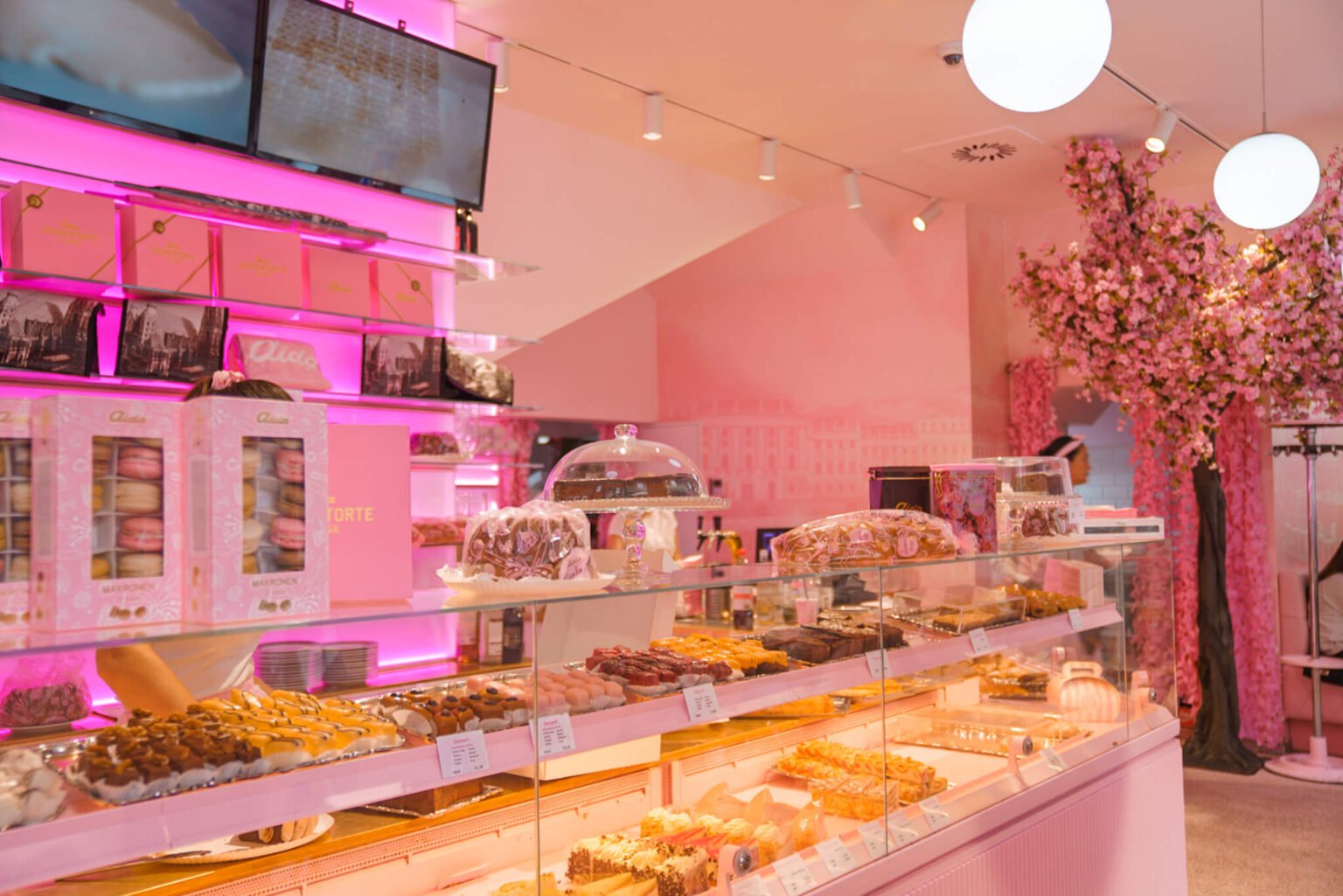 27 Fun Things to do in Vienna for an Epic Stay