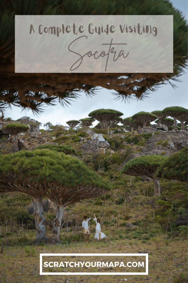 The Inside Scoop of What a Socotra Island Tour Looks Like - Scratch ...