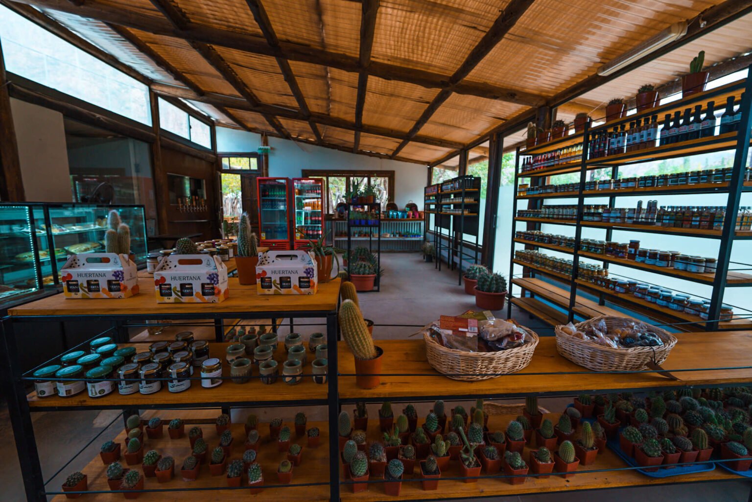 Cacheuta Spa: How to Visit the Iconic Thermal Baths in Mendoza ...