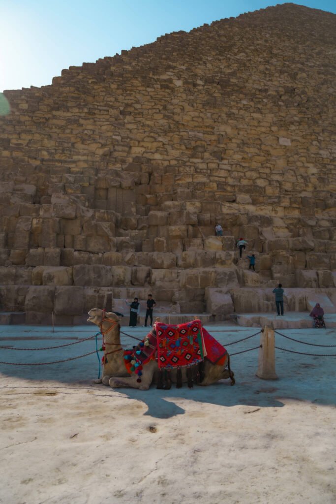 The Ultimate Guide for Visiting the Pyramids of Giza in 2024 - Scratch ...