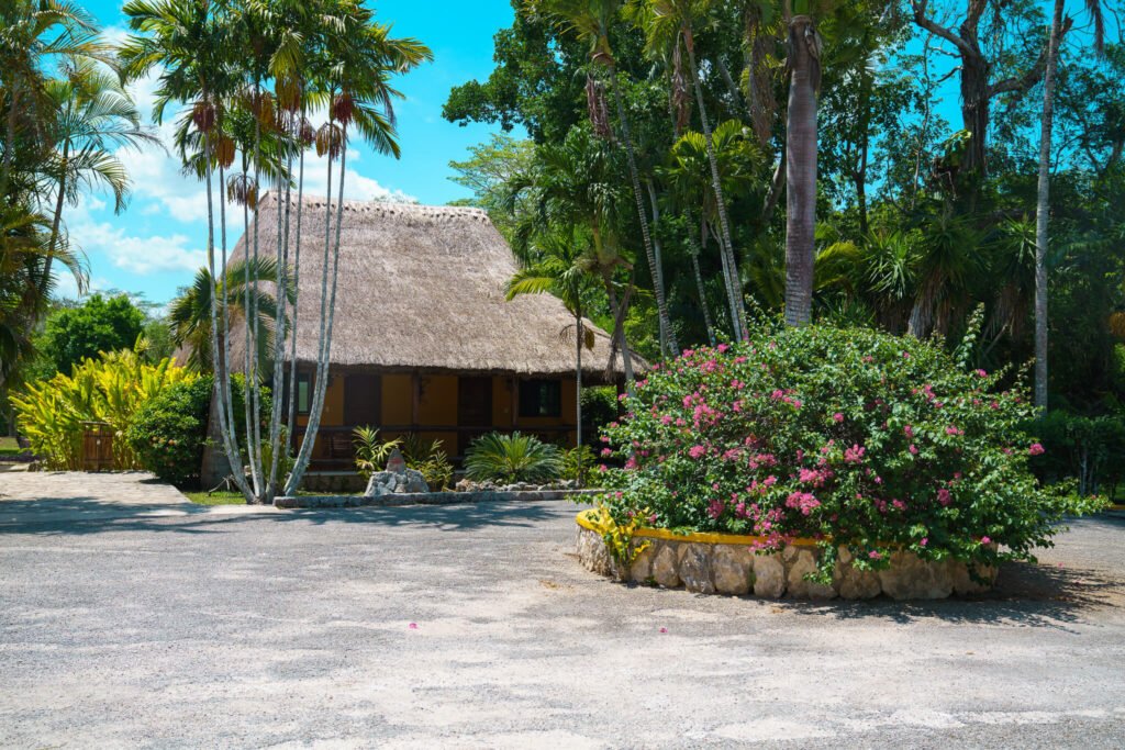 Is Ik Kil Cenote Worth it? A Complete 2024 Guide - Scratch your mapa