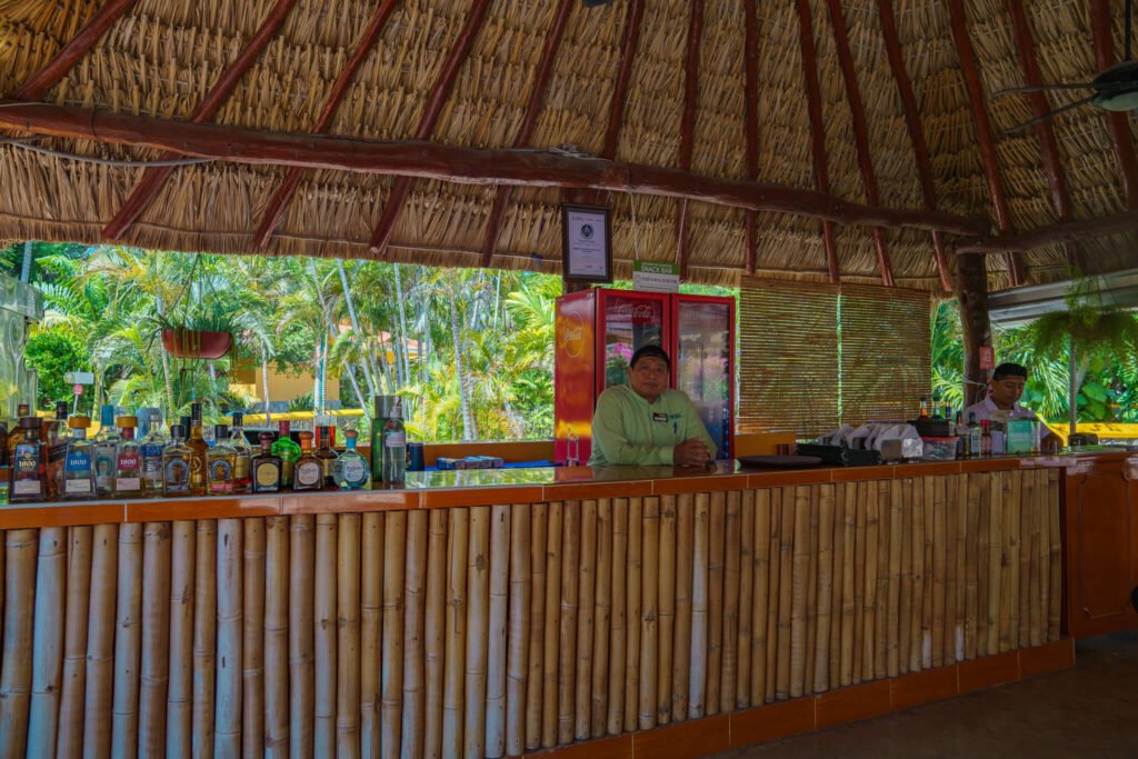 Is Ik Kil Cenote Worth it? A Complete 2024 Guide - Scratch your mapa