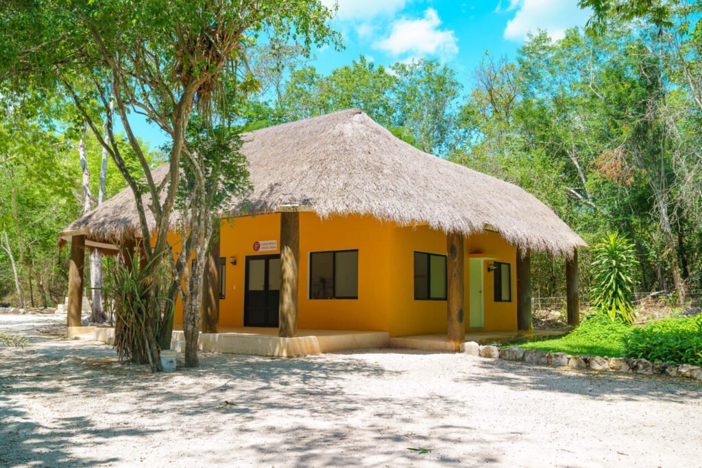 Is Ik Kil Cenote Worth it? A Complete 2024 Guide - Scratch your mapa