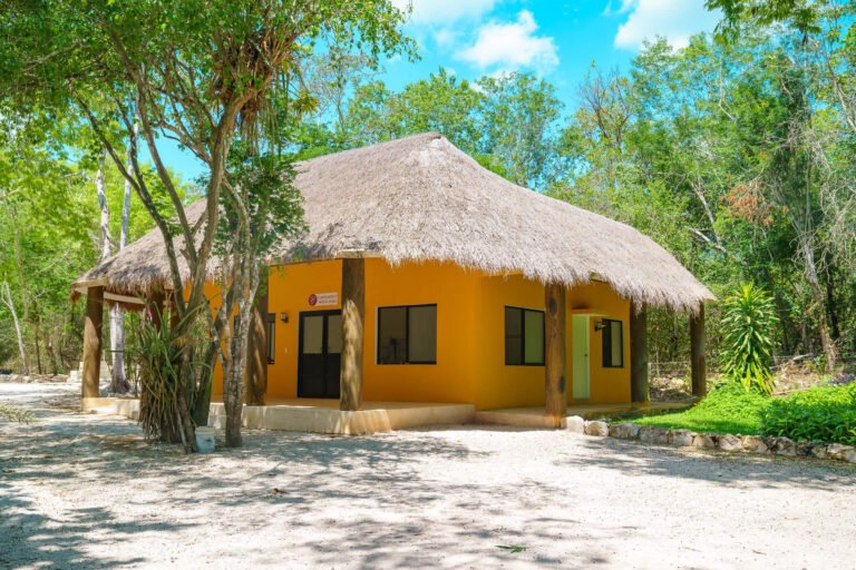 Is Ik Kil Cenote Worth it? A Complete 2024 Guide - Scratch your mapa