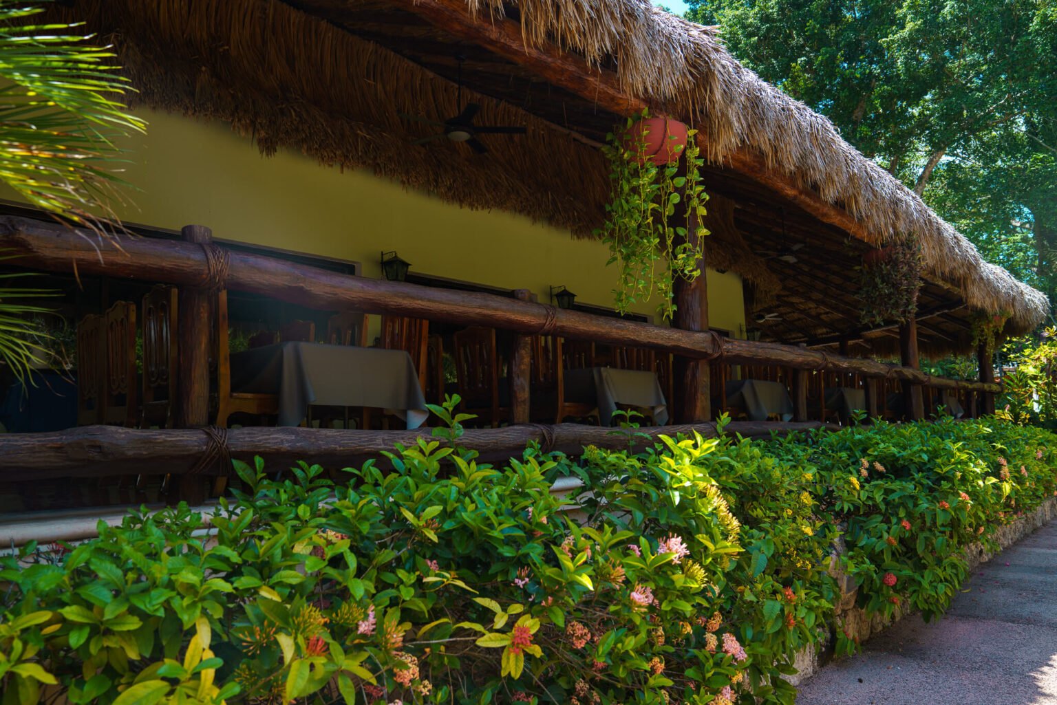 Is Ik Kil Cenote Worth it? A Complete 2024 Guide - Scratch your mapa