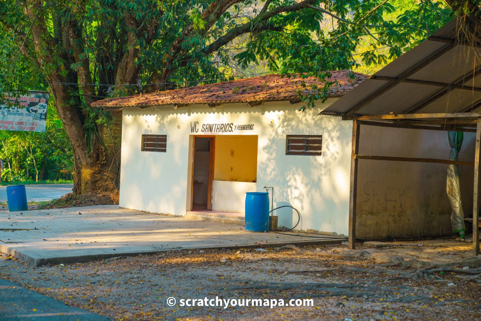 Agua Azul Waterfalls: How to Visit the Natural Wonder of Mexico in 2024 ...