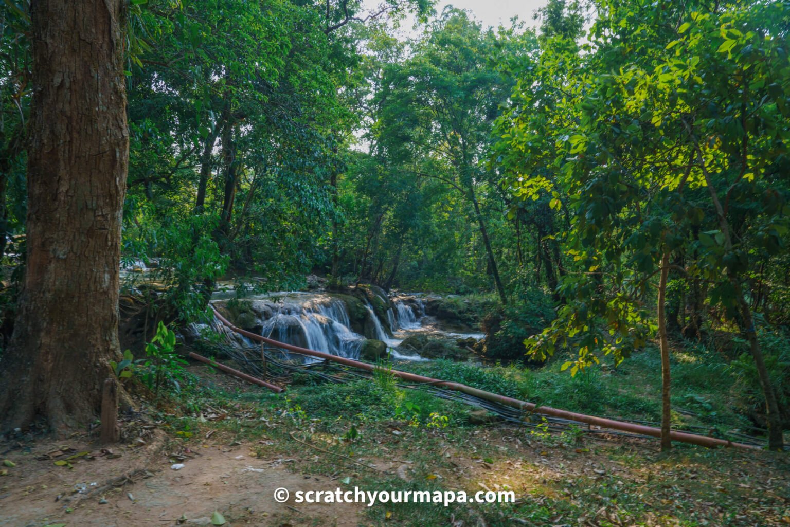 Agua Azul Waterfalls: How to Visit the Natural Wonder of Mexico in 2024 ...