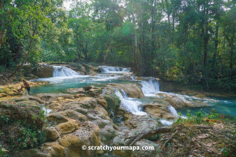 Agua Azul Waterfalls: How to Visit the Natural Wonder of Mexico in 2024 ...