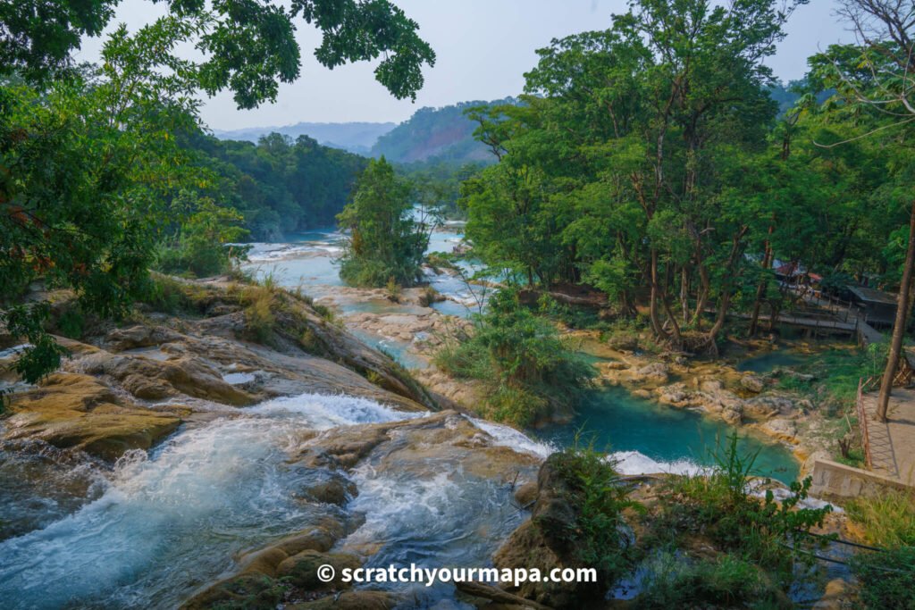 Agua Azul Waterfalls: How to Visit the Natural Wonder of Mexico in 2024 ...