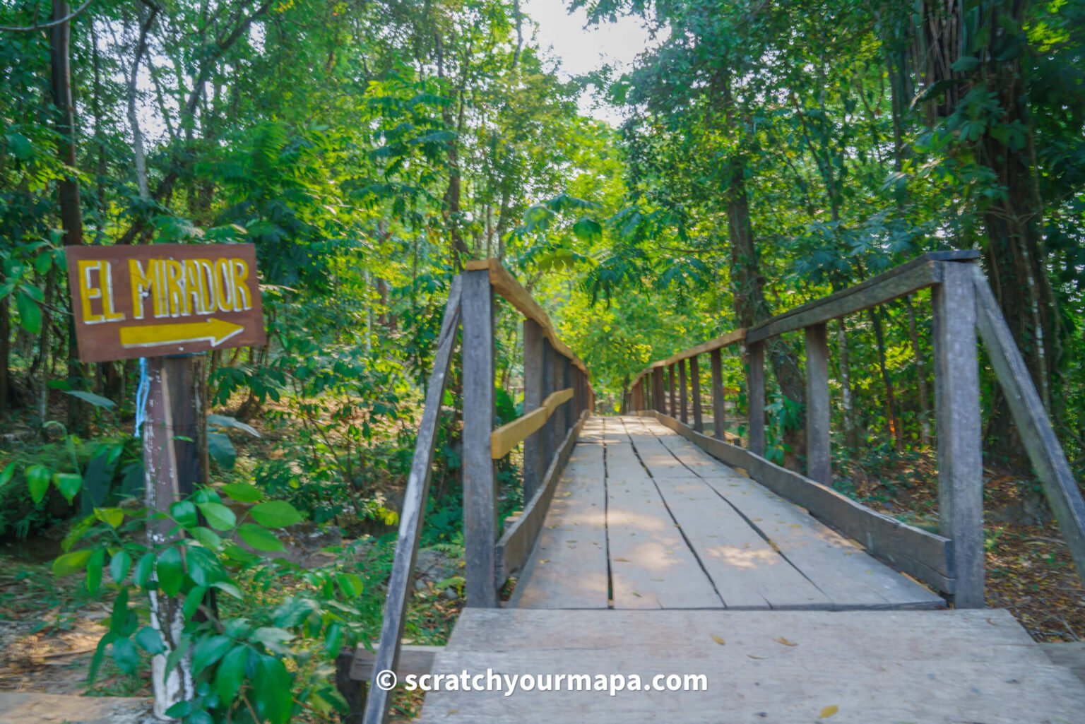 Agua Azul Waterfalls: How to Visit the Natural Wonder of Mexico in 2024 ...