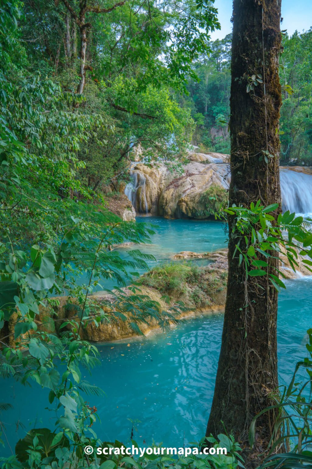 Agua Azul Waterfalls: How to Visit the Natural Wonder of Mexico in 2024 ...