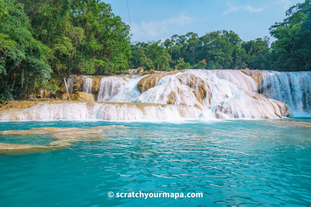 Agua Azul Waterfalls: How to Visit the Natural Wonder of Mexico in 2024 ...