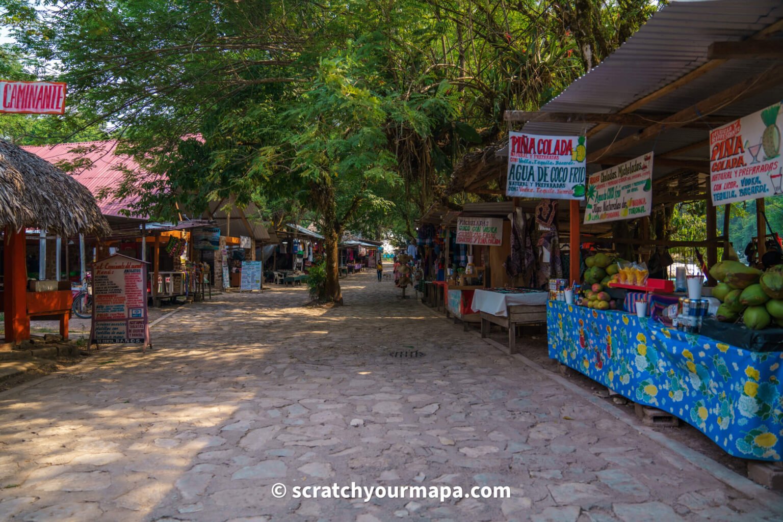 Agua Azul Waterfalls: How to Visit the Natural Wonder of Mexico in 2024 ...