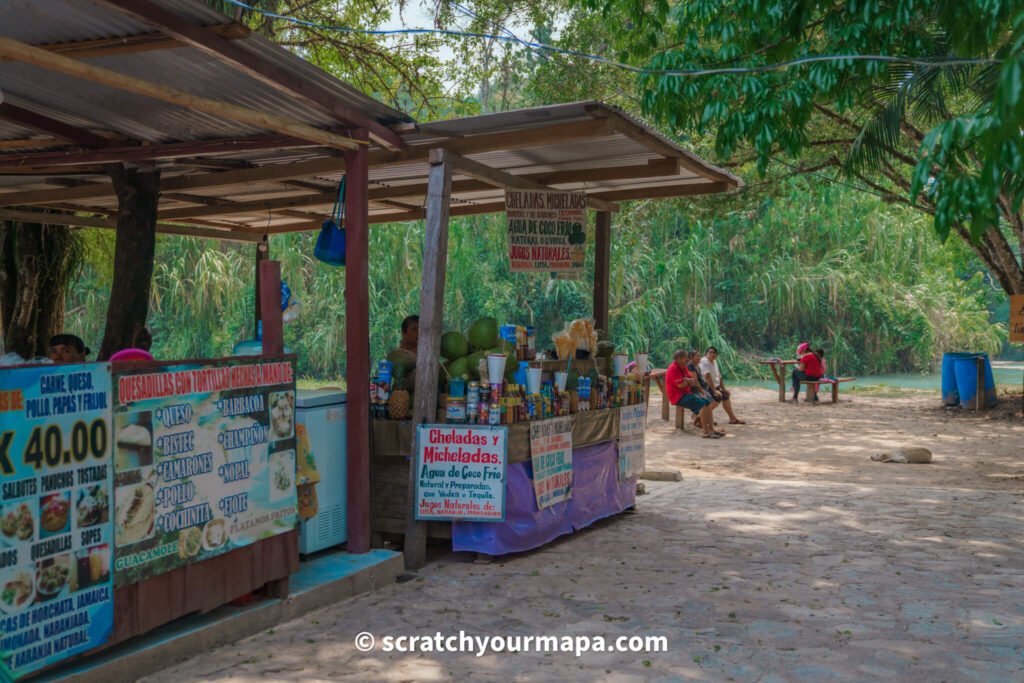 Agua Azul Waterfalls: How to Visit the Natural Wonder of Mexico in 2024 ...