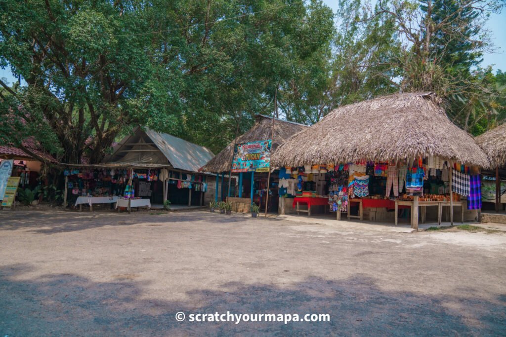 Agua Azul Waterfalls: How to Visit the Natural Wonder of Mexico in 2024 ...