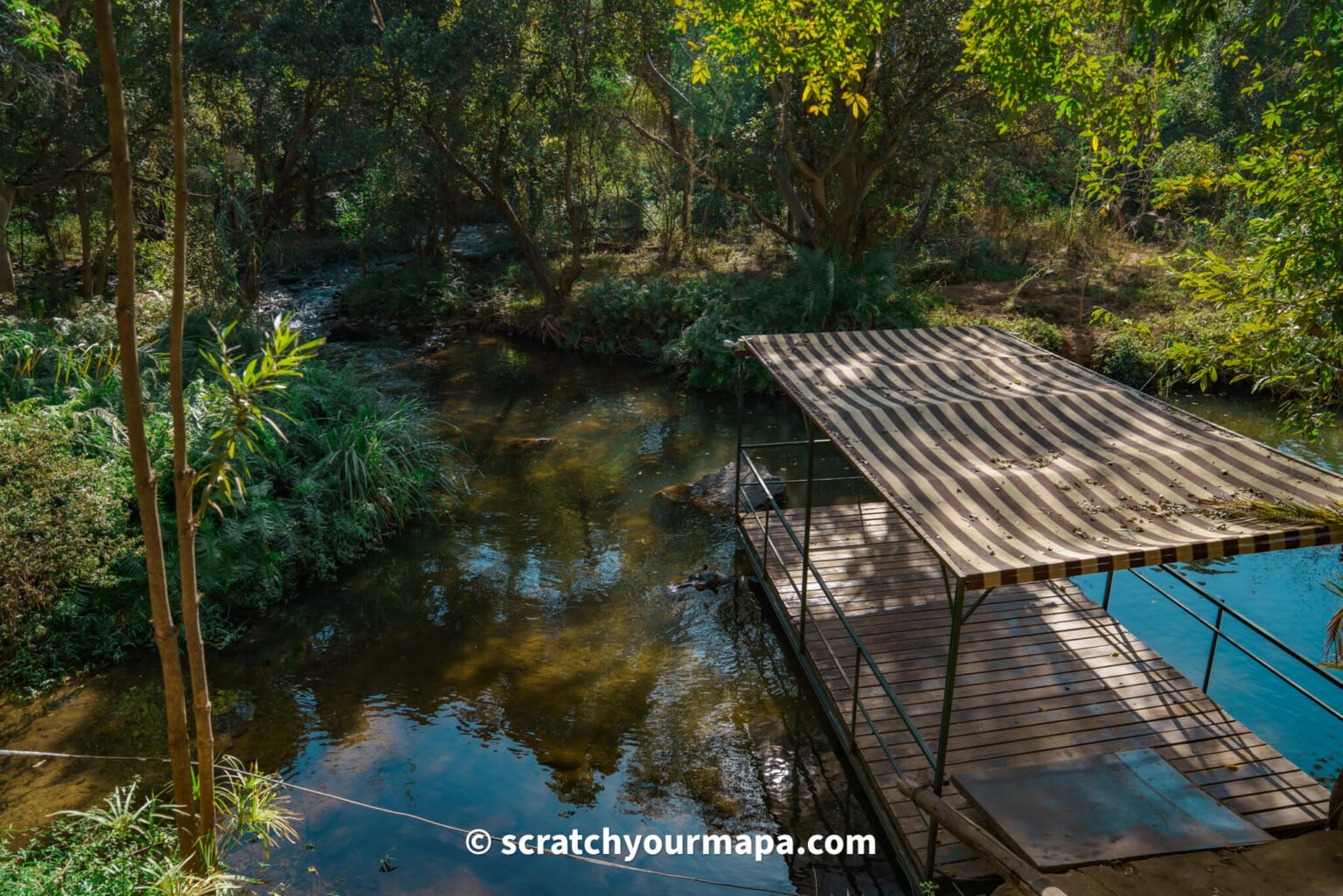 Jessica the Hippo: The Ultimate Bucket List Animal Encounter - Scratch ...