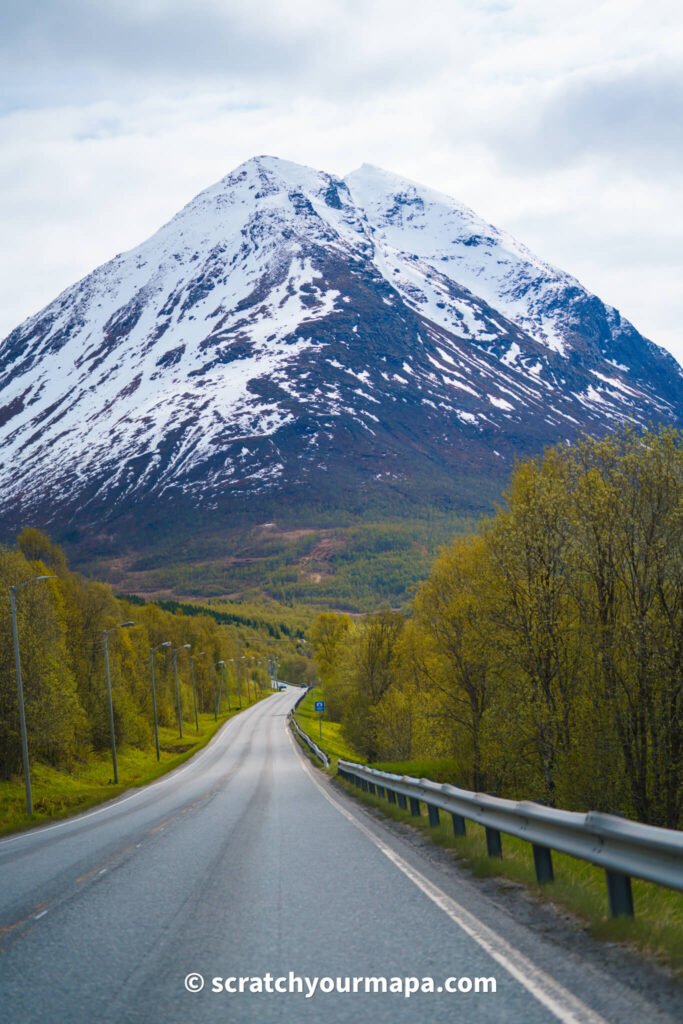 A Complete Guide to Driving in Norway - Scratch your mapa