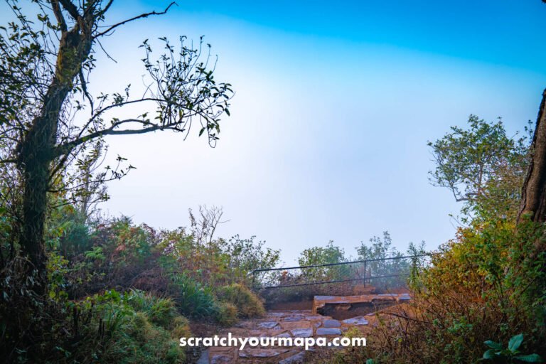 The South Africa Panorama Route: How to Experience the Stunning Blyde ...