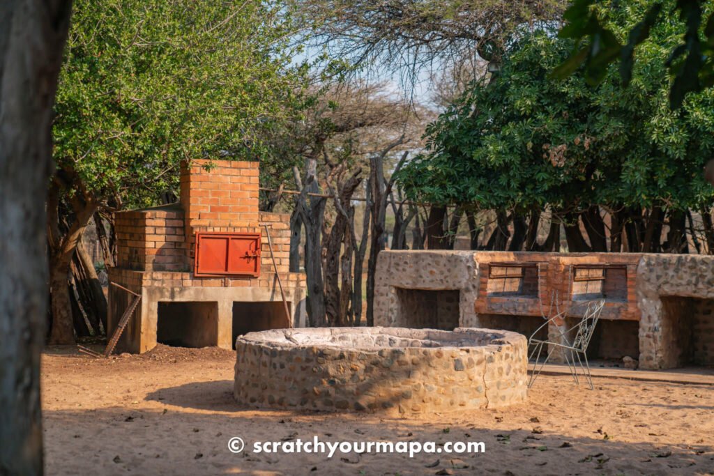 The Best Safari Experiences in Eswatini: Get Up Close on a Giraffe ...