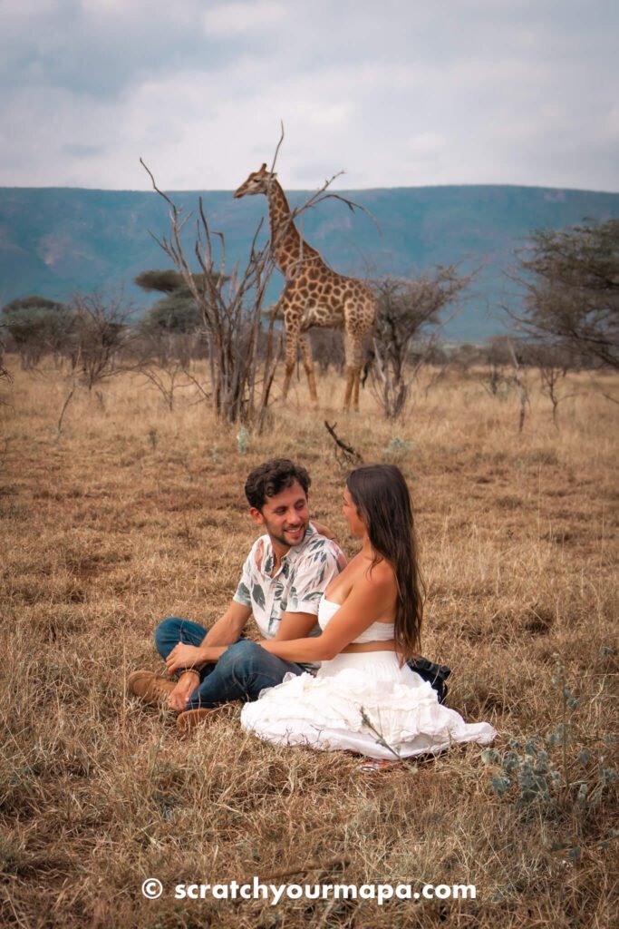 The Best Safari Experiences in Eswatini: Get Up Close on a Giraffe Walking Safari - Scratch your ...