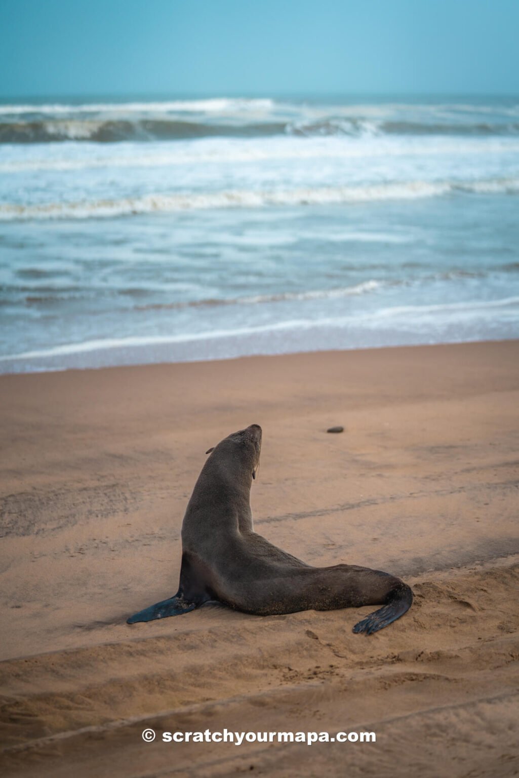 Your Guide to Experiencing a Sandwich Harbour 4x4 Tour in Namibia ...