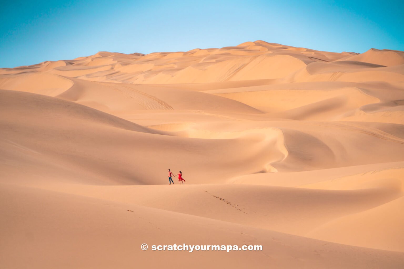 Your Guide to Experiencing a Sandwich Harbour 4x4 Tour in Namibia ...