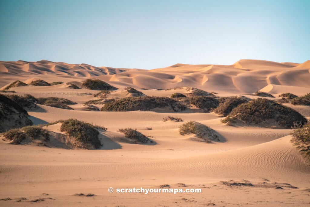 Your Guide to Experiencing a Sandwich Harbour 4x4 Tour in Namibia ...