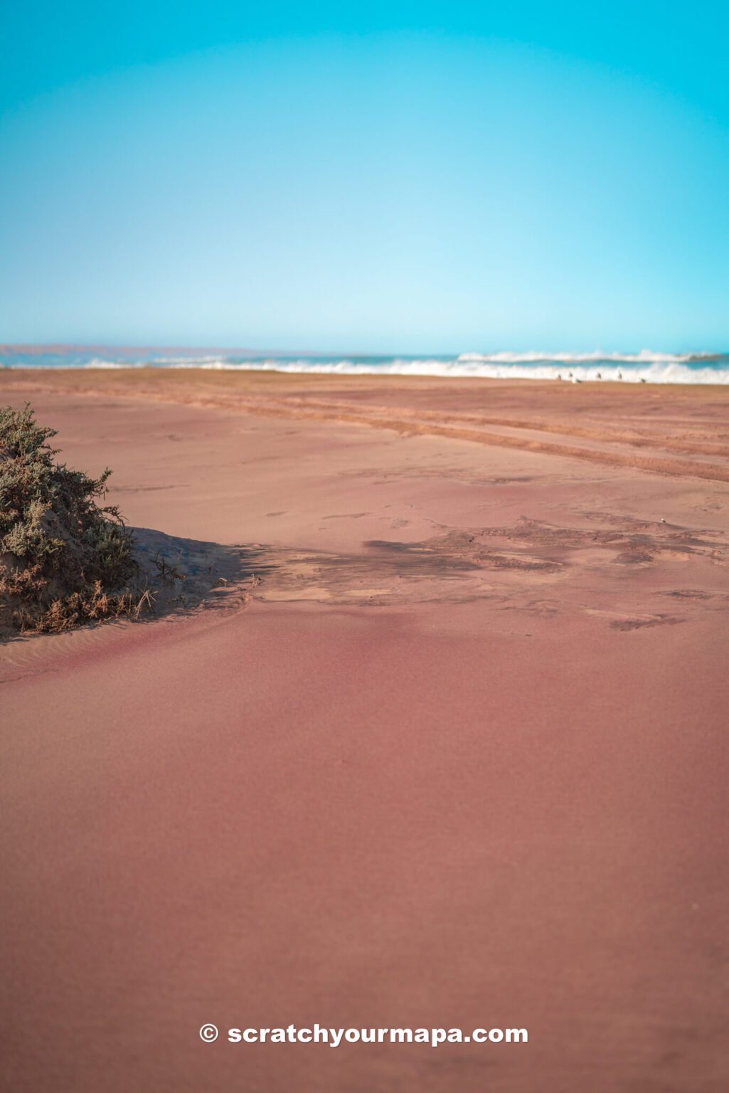 Your Guide to Experiencing a Sandwich Harbour 4x4 Tour in Namibia ...