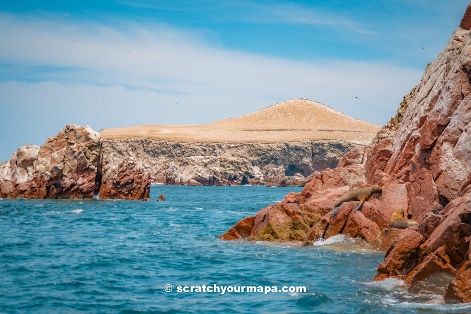 Taking an Islas Ballestas Tour: How to Experience the Famous Islands of ...
