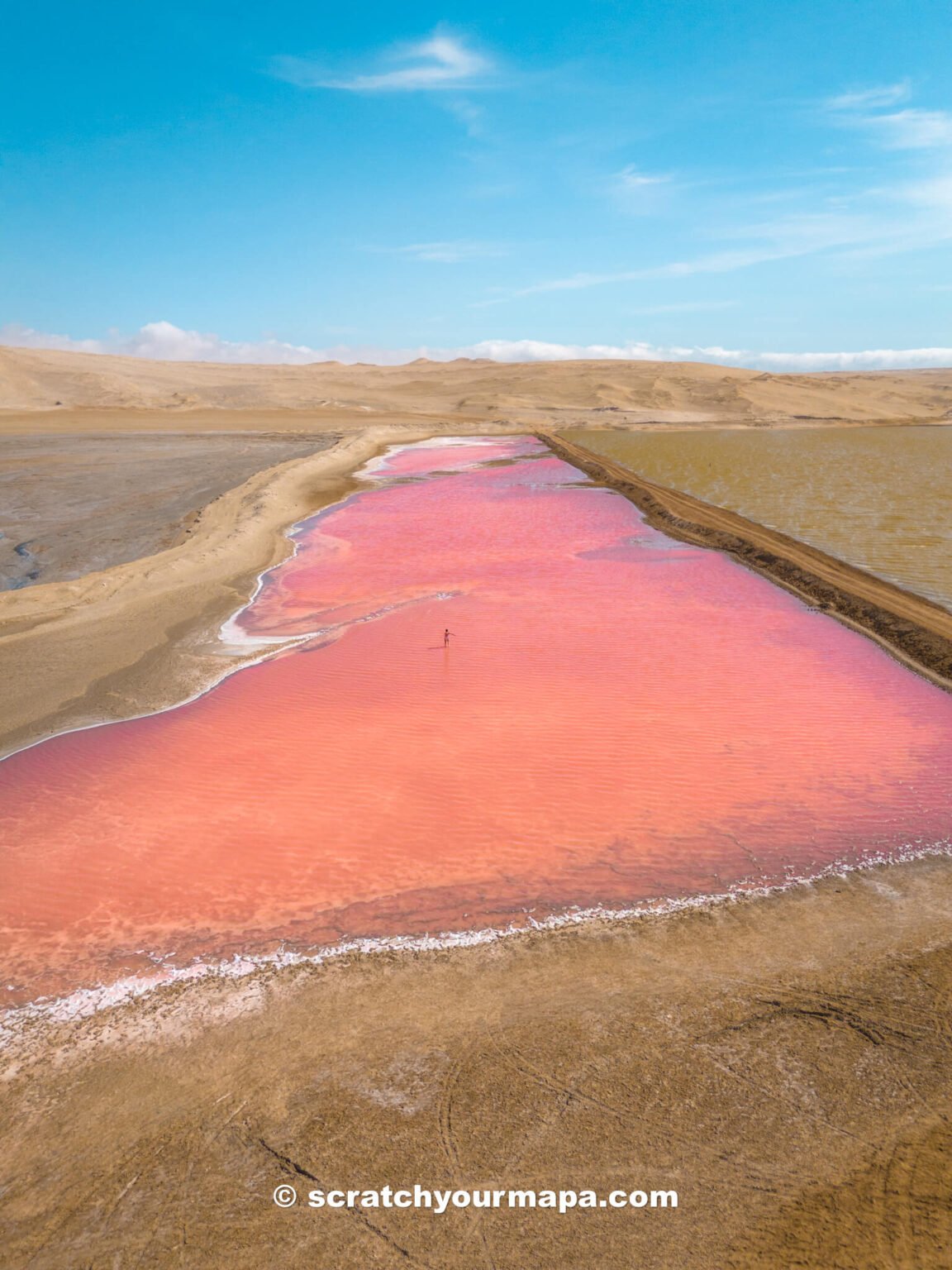 Paracas National Reserve: A Complete Guide to Peru’s Coastal Gem ...