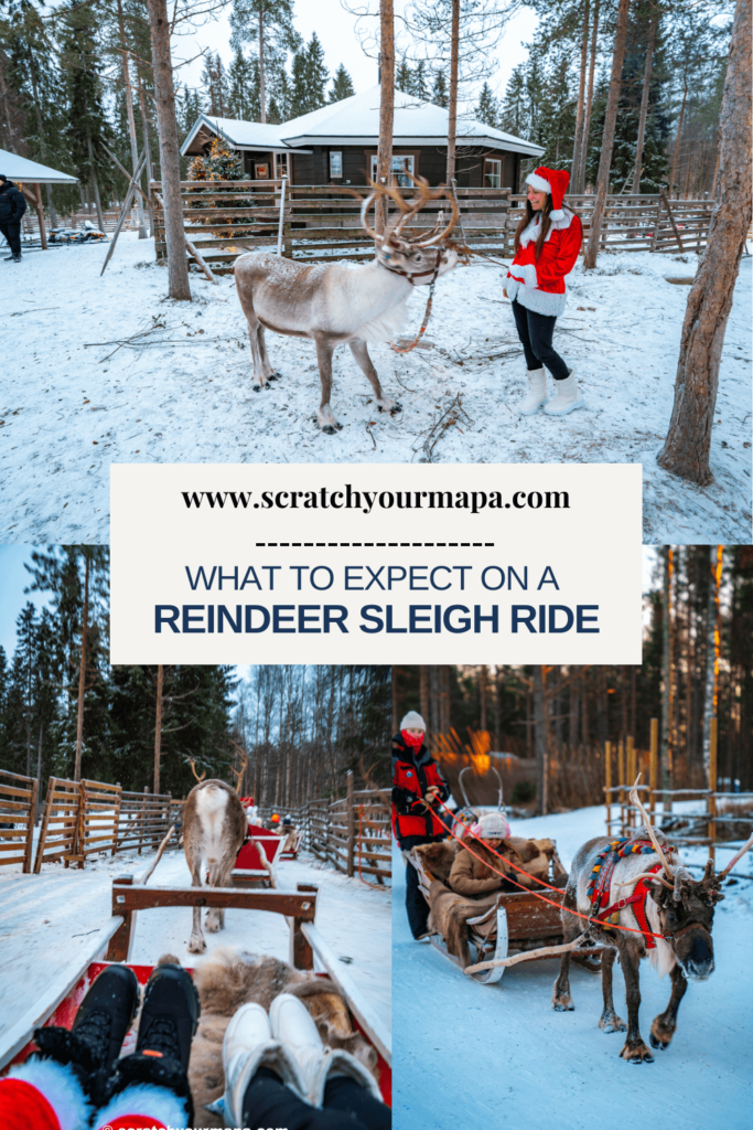 Reindeer Ride Experience in Rovaniemi | Scratch your mapa