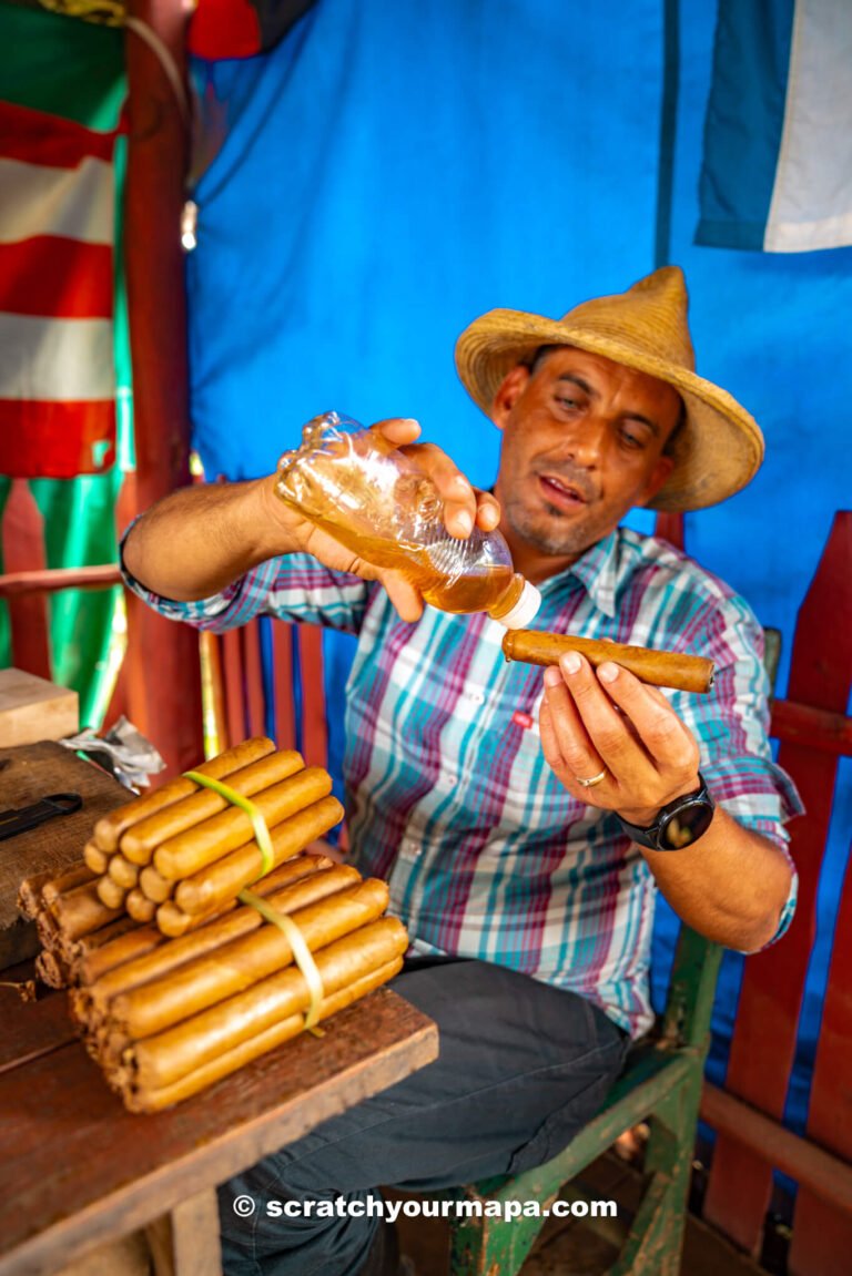 The Ultimate Cuba Travel Guide: Everything You Need to Know for Your ...