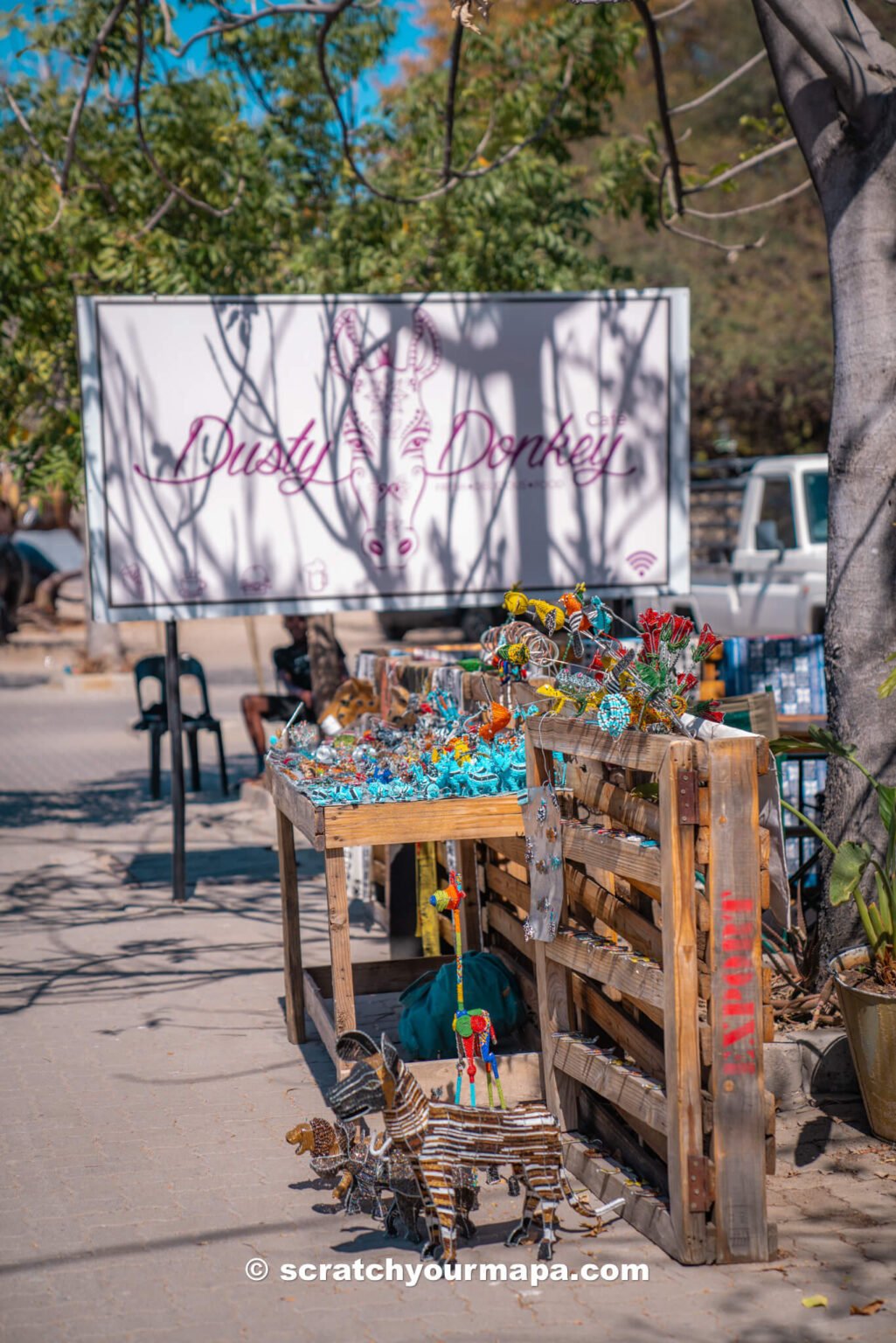Visiting Botswana for the First Time: Everything You Need to Know ...