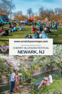 Branch Brook Park Cherry Blossom Festival: A Guide to New Jersey's ...