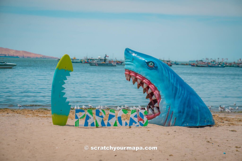 The 22 Best Things to Do in Paracas Peru: From Top Attractions to ...