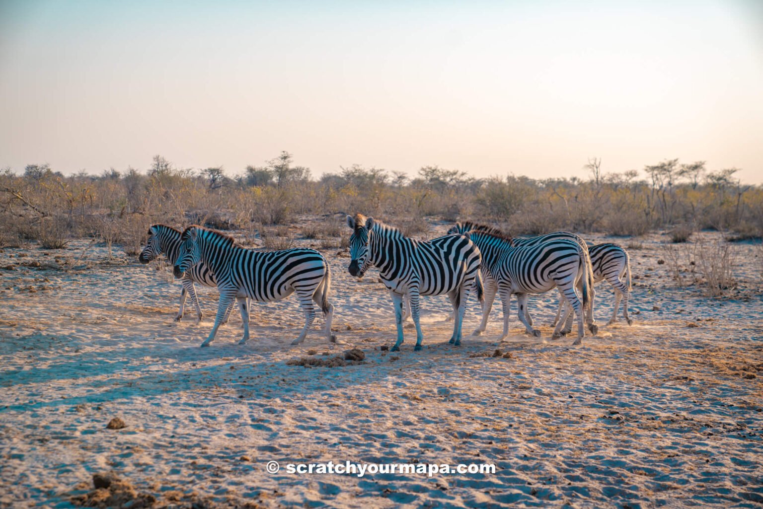 How to Drive from Namibia to Botswana: Border Crossings, Routes & Tips ...