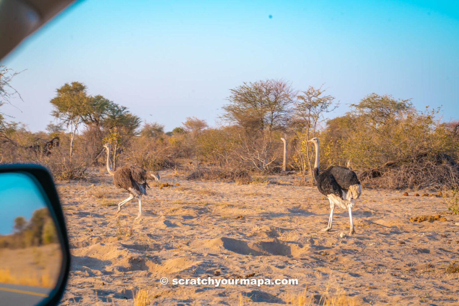 How to Drive from Namibia to Botswana: Border Crossings, Routes & Tips ...