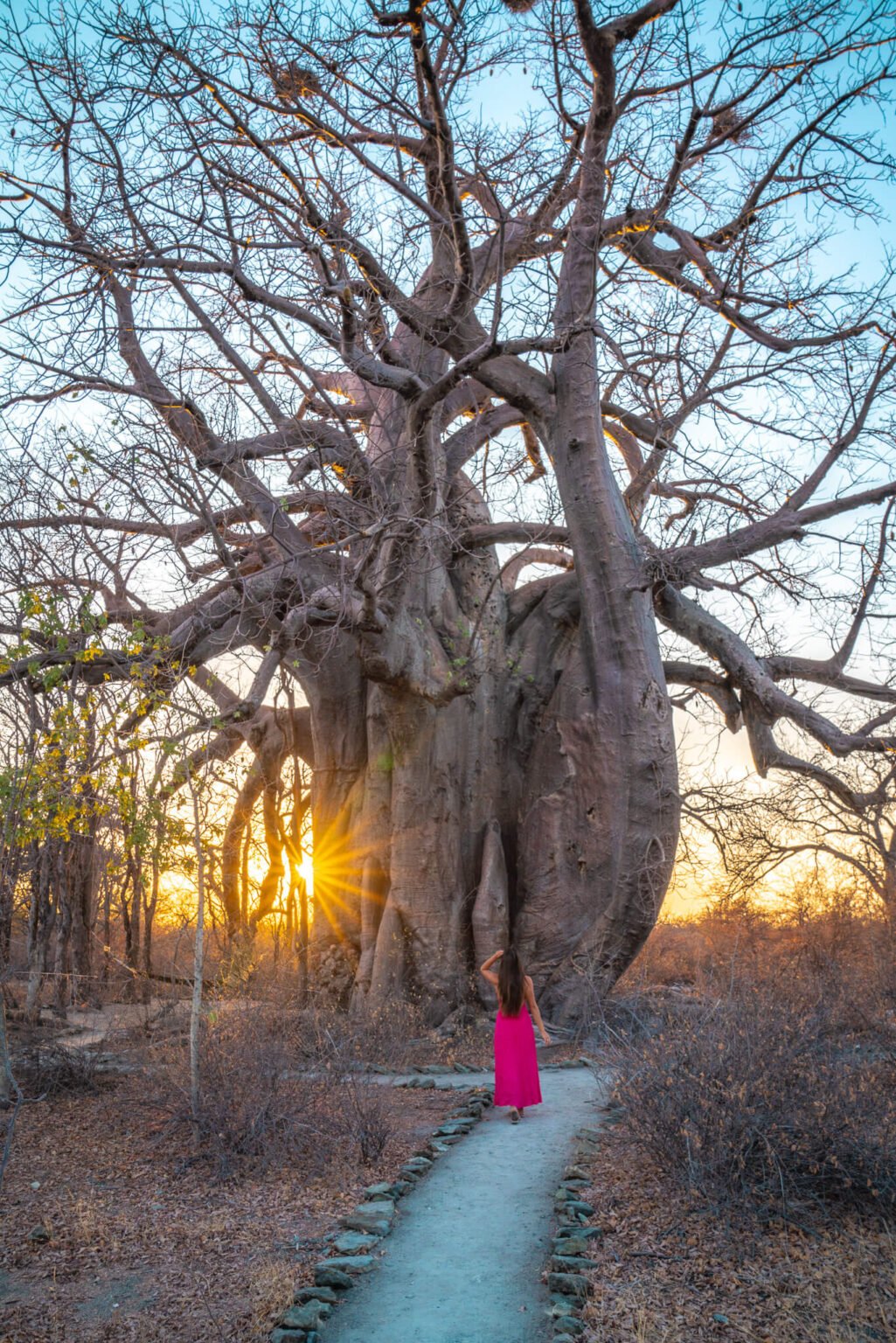 Planet Baobab: A Unique Stay in the Heart of Botswana’s Makgadikgadi ...