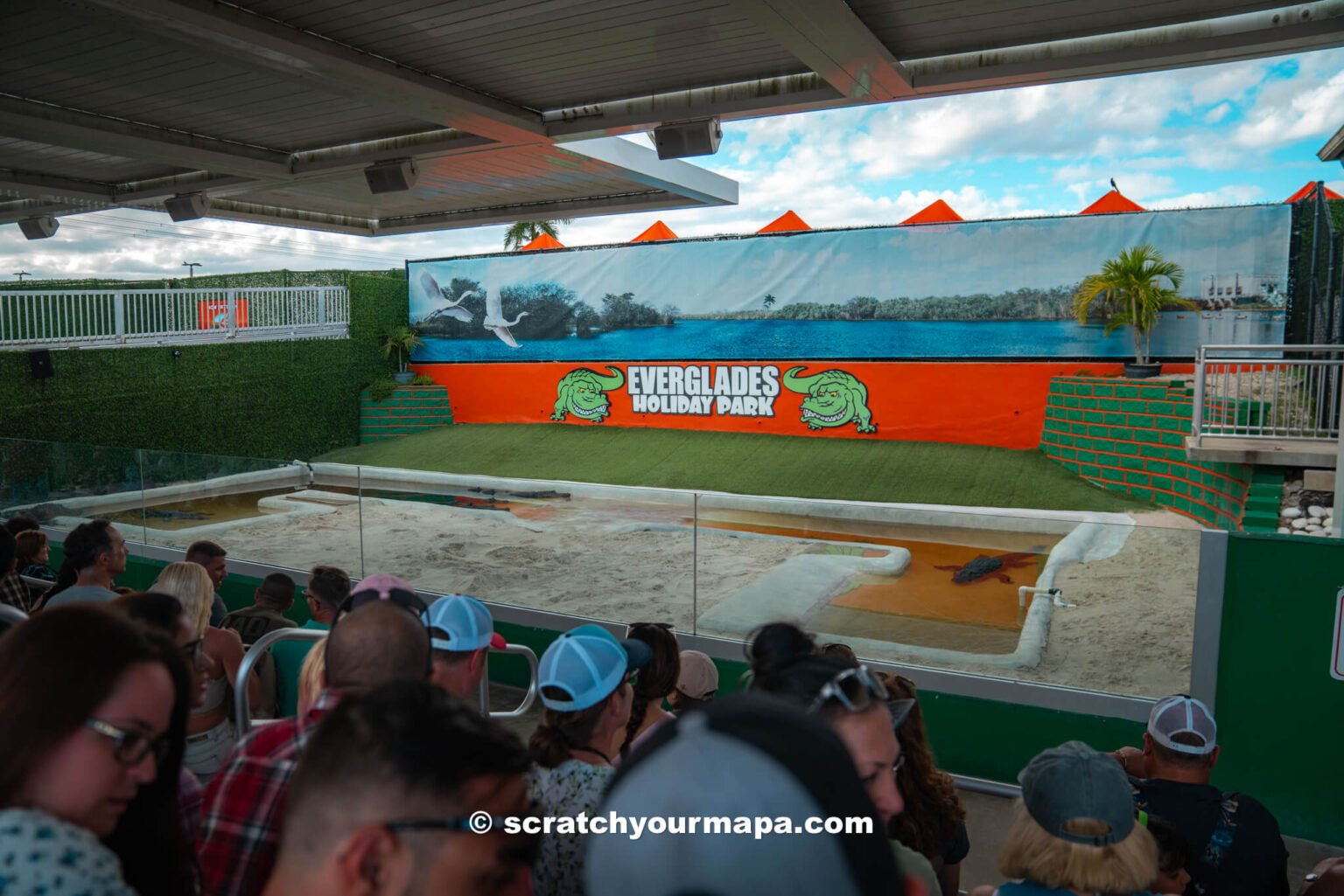 What to Expect on an Airboat Tour in the Everglades: A Complete Guide